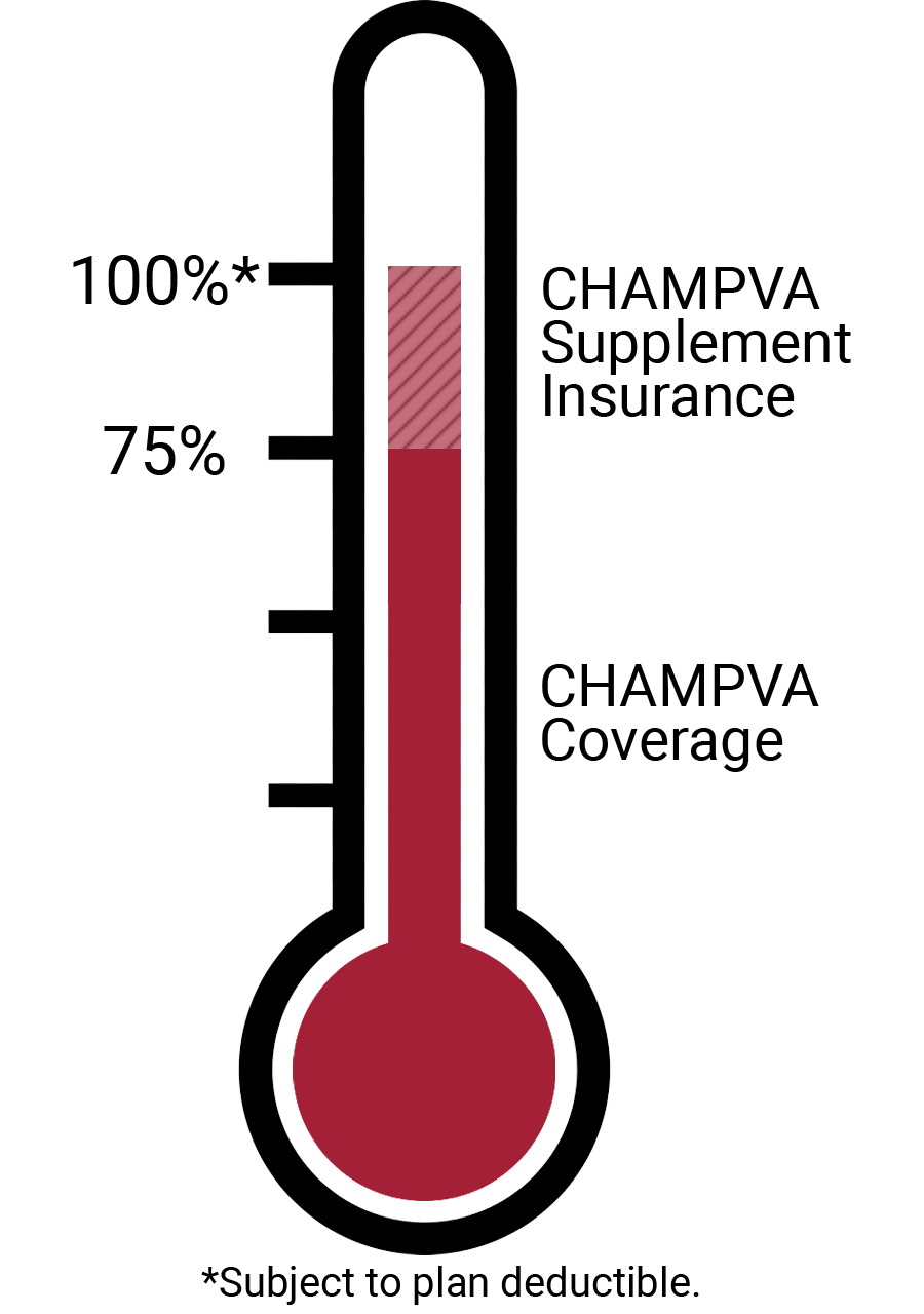 GEA CHAMPVA Supplement Insurance Plan Information